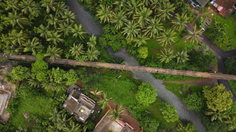 Keri Foot Bridge- A Local's Guide to North Goa's Hidden Gem