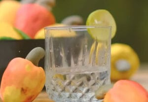 Goan Food & Cuisine Guide: 15 Must-Try Local Dishes - Goan Tales