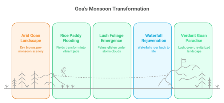 Goa in June: Monsoon Travel Guide, Weather & Things to Do - Goan Tales